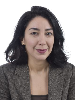 Saman Seydi (Yasin) - The Association of Families of Flight PS752 ...